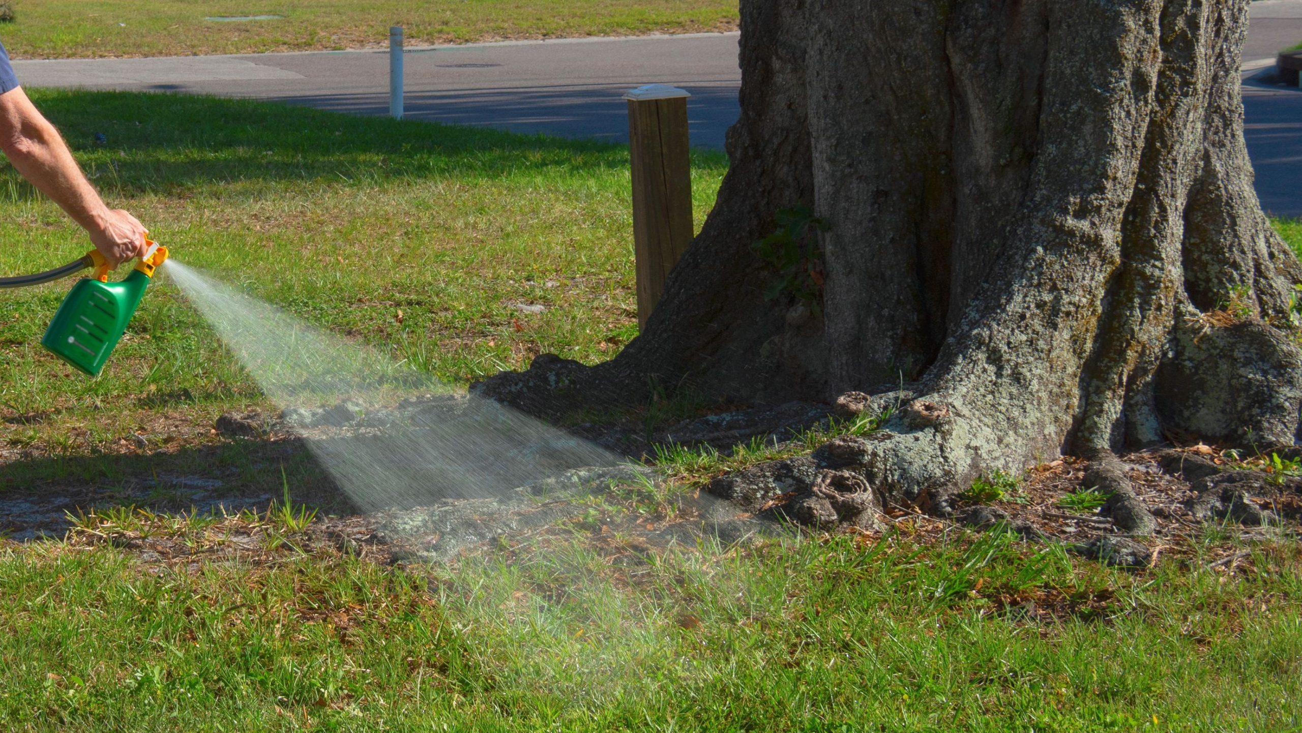 Dalton Gardens ELITE Fertilizer Program Services | GreenMax Services